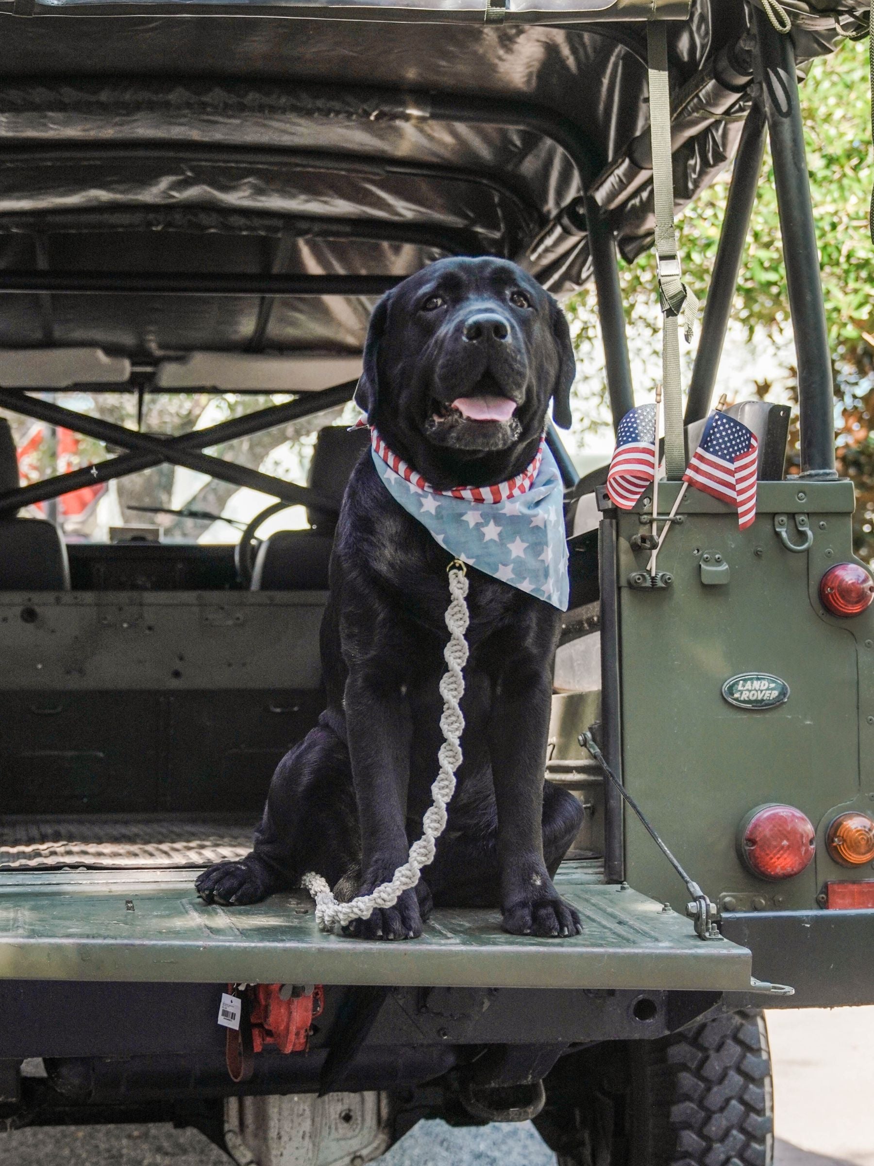 Bandanas – Huck and Harlowe