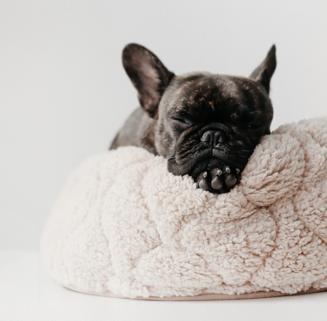 TAART Dog Bed – Huck and Harlowe