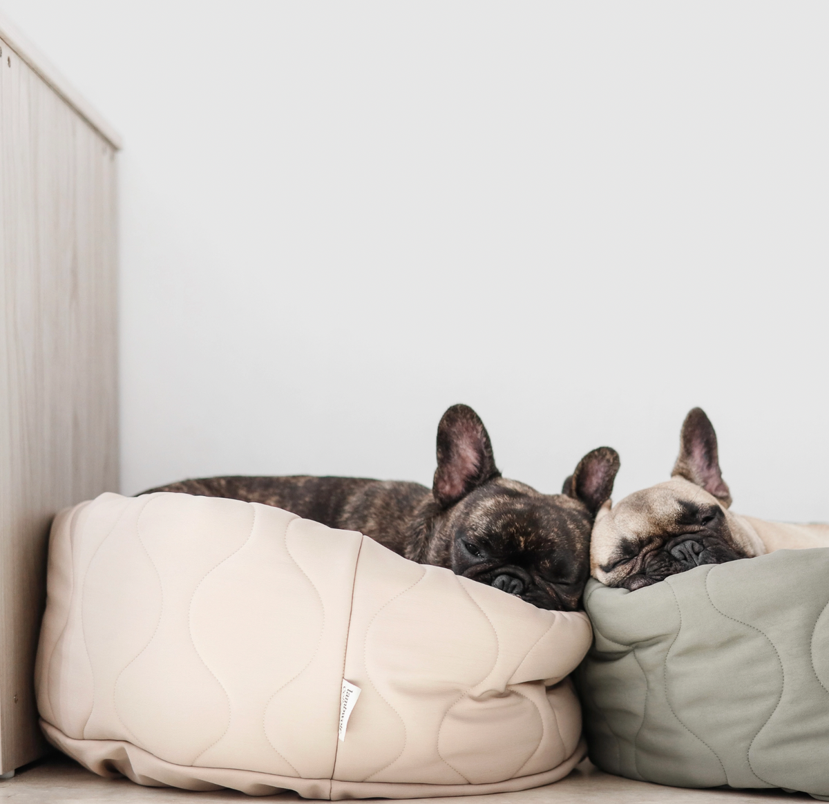 Best Sellers – Huck and Harlowe