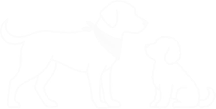 How To Get A Beach Permit For Your Dog – Huck and Harlowe